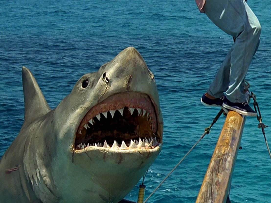 Jaws: The Revenge | Music Box Theatre