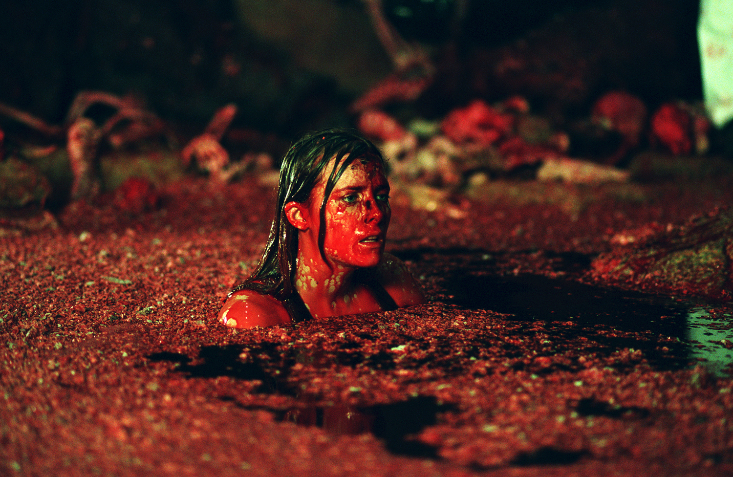 The Descent | Music Box Theatre