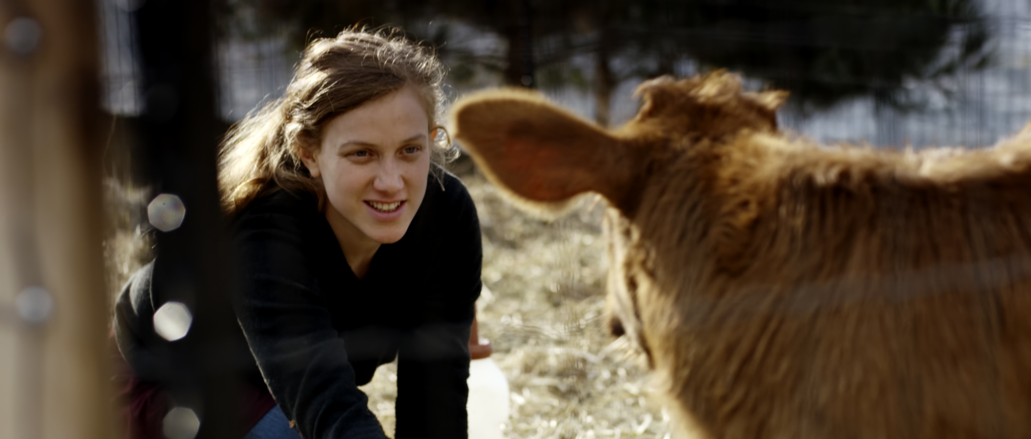 Red Cow | Music Box Theatre