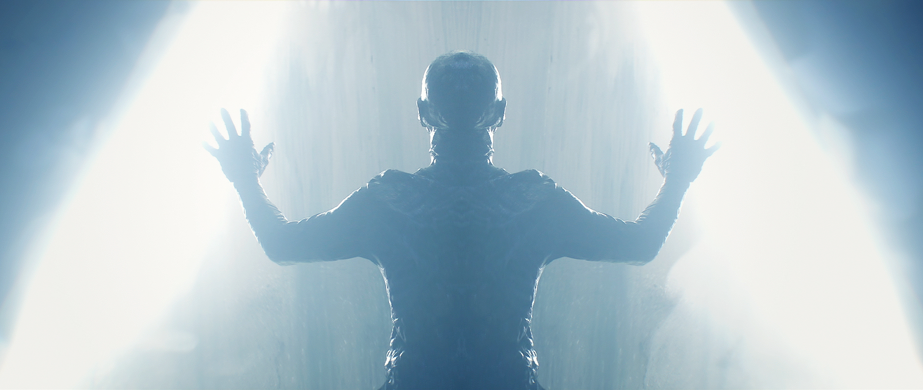 The Void | Music Box Theatre